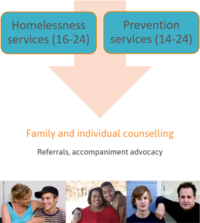 Family Reconnect Toolkit - Eva's Initiatives for Homeless Youth